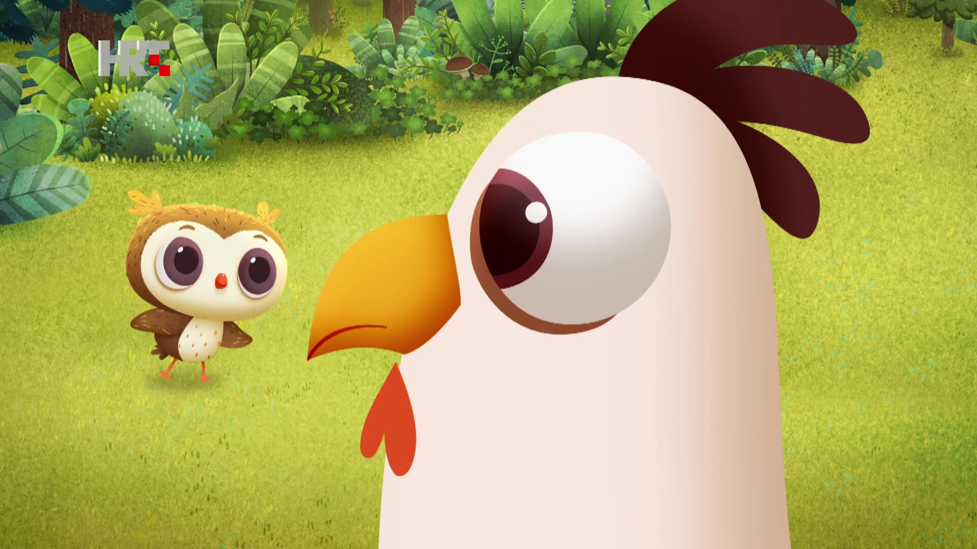 Ptice kipovi - Juhuhu